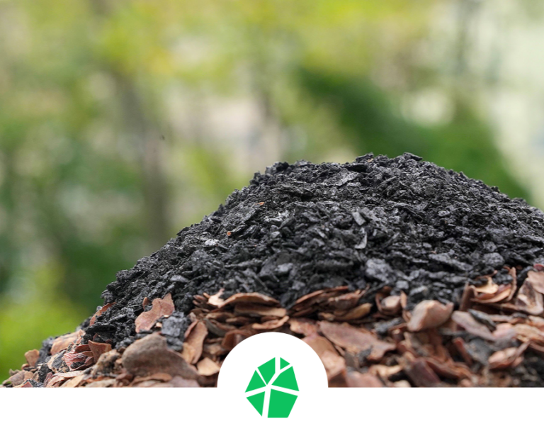 Biochar • Plant construction • Energy • Carbon Credits - Circular Carbon